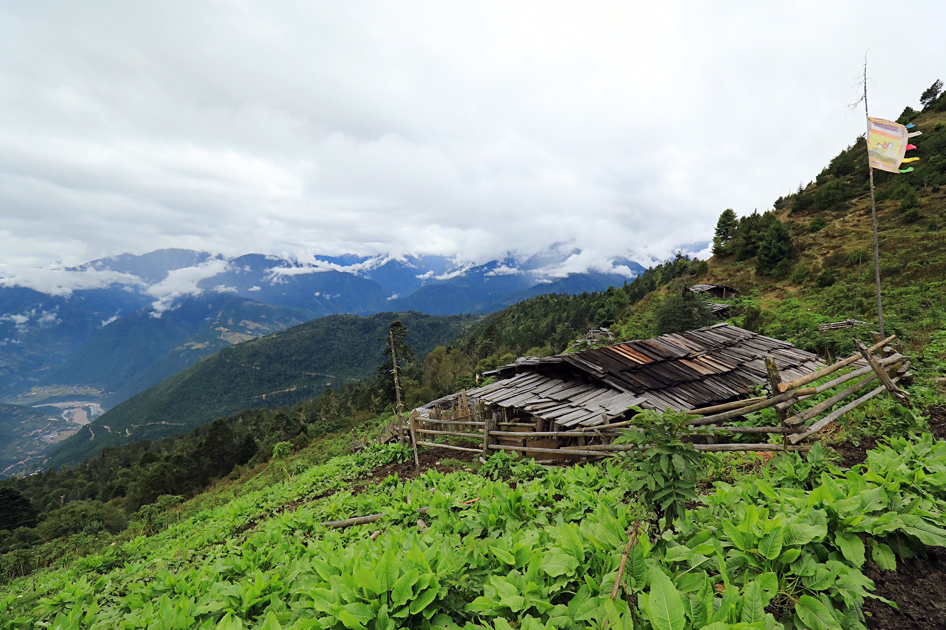Baimang Snow Mountain Hiking Travel Blog, Baimang Snow Mountain Hiking ...